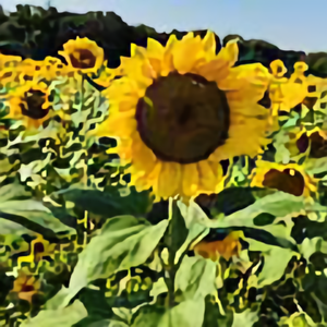平淡生活点点滴滴 