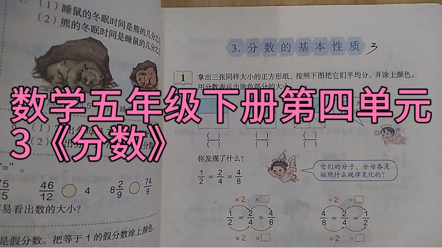 数学五年级下册第四单元第三讲《分数的基本性质》