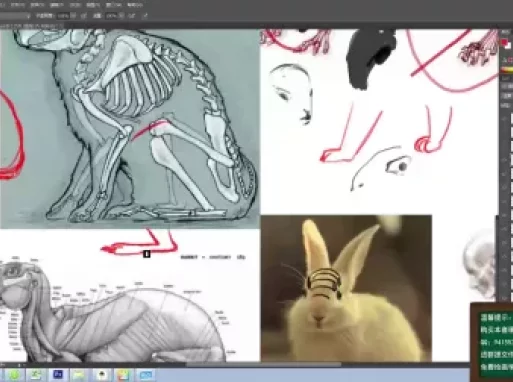电脑插画教程 ps插画教程 自学插画教程