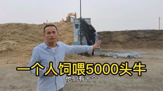 7个人管理5000头牛,1个人饲喂全过程,太震撼了,请收藏备用