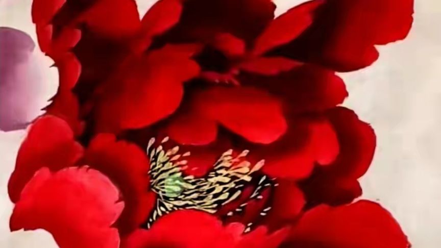 白老师用简单的笔法画出漂亮的牡丹花,简单好学,适合于初学者