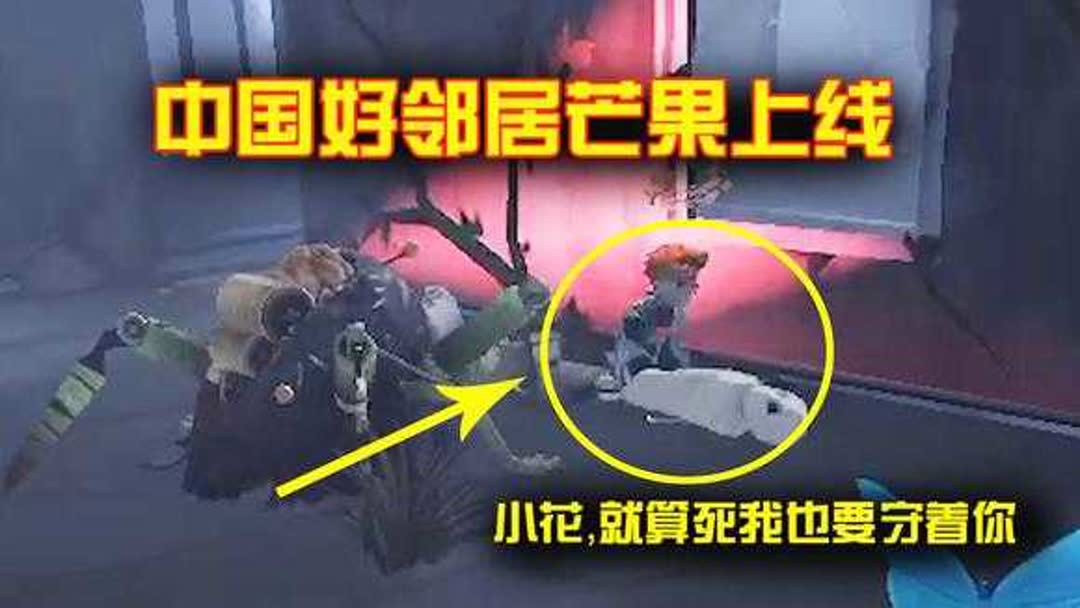 第五人格:小花被裹尸,芒果怒冲上去死守身旁,小黄鸭被感动!