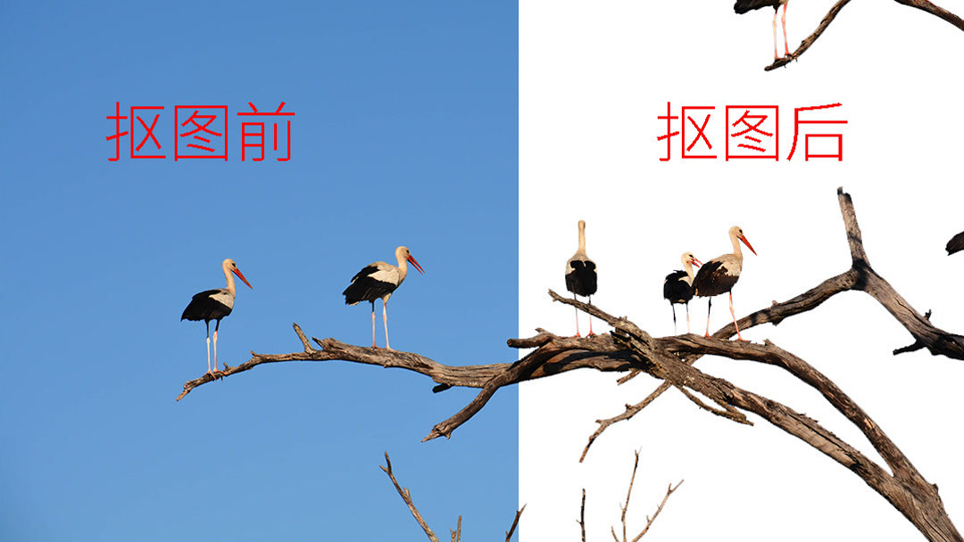 ps抠图——蒙版抠图