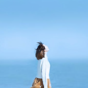 牛言飞语 