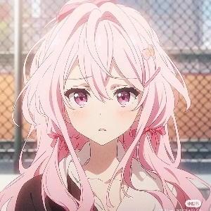 花札卫-四光上五光 