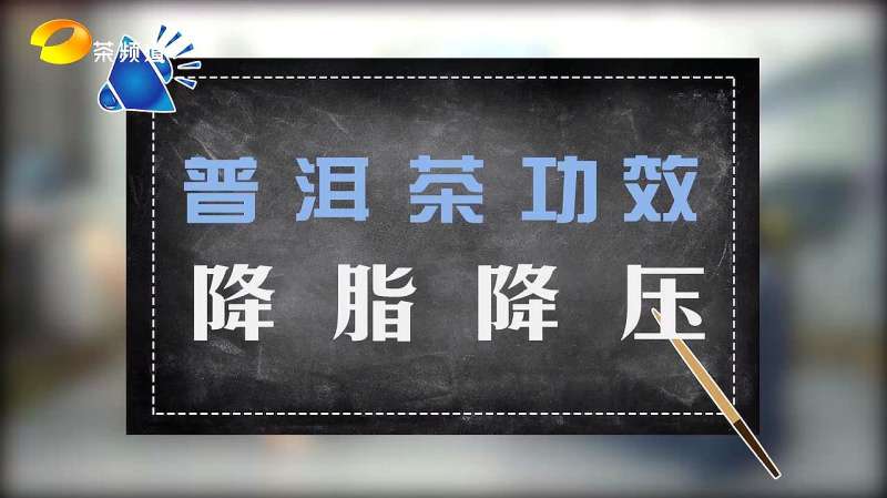 普洱茶功效!降脂降压,是如何作用于人体的?