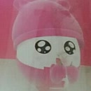 爱喝汽水的澹台春妤 