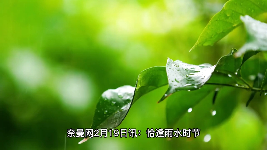 奈曼旗茶文化艺术爱好者协会成立暨第一次会员代表大会举行