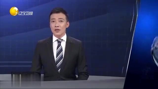 辽宁自贸区沈阳片区:推动制度创新,助力企业成长