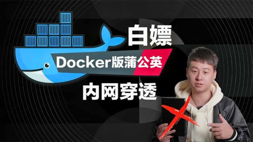 白嫖蒲公英docker版的内网穿透,群晖和其他linux系统都适用。
