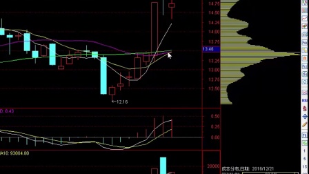 如何抓涨停股 股票指标技术 macd线选股 个股精选分享 股票剑客炒股