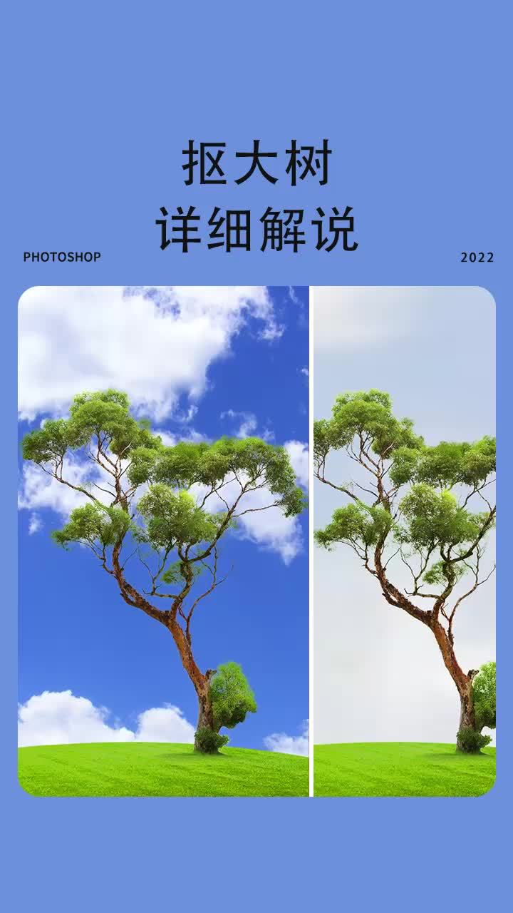 ps教你10秒轻松抠大树ps教程图文来了创作灵感