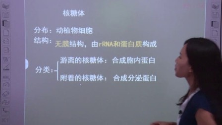 高二生物 第三章细胞的基本结构