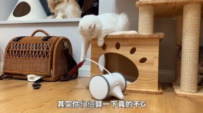斥资20万打造猫房奢侈吗?仔细盘点一下,发现只要用17年就回本