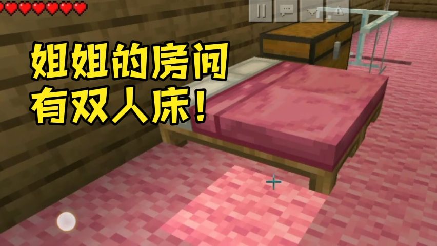 我的世界地图忙碌的一天之小飞家:姐姐房间有双人床?!