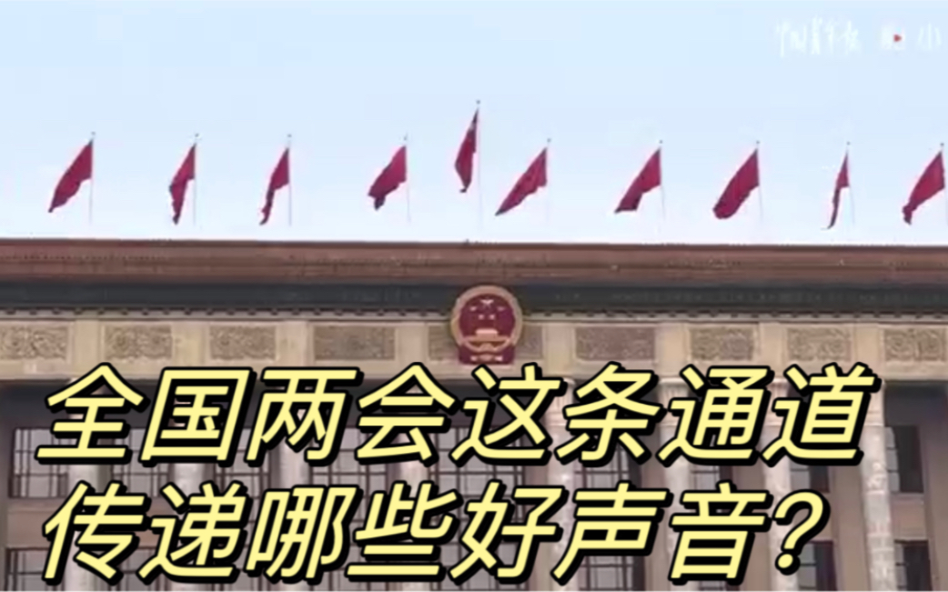 青年关注有回应,全国两会这条通道传递哪些好声音?