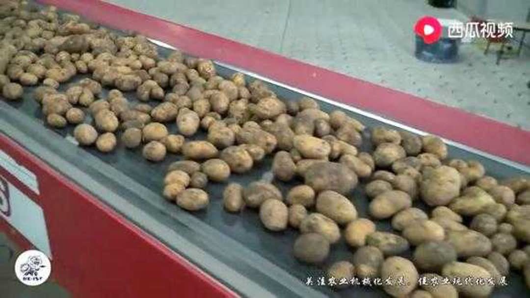 格力莫自动清理分拣系统,粘带泥土也能分离