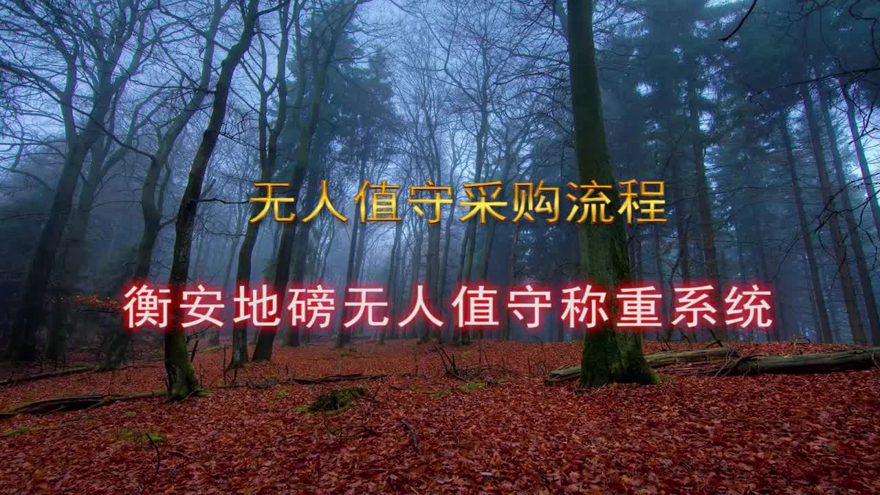 水泥行业采购流程-衡安地磅无人值守称重软件系统-19.8.8