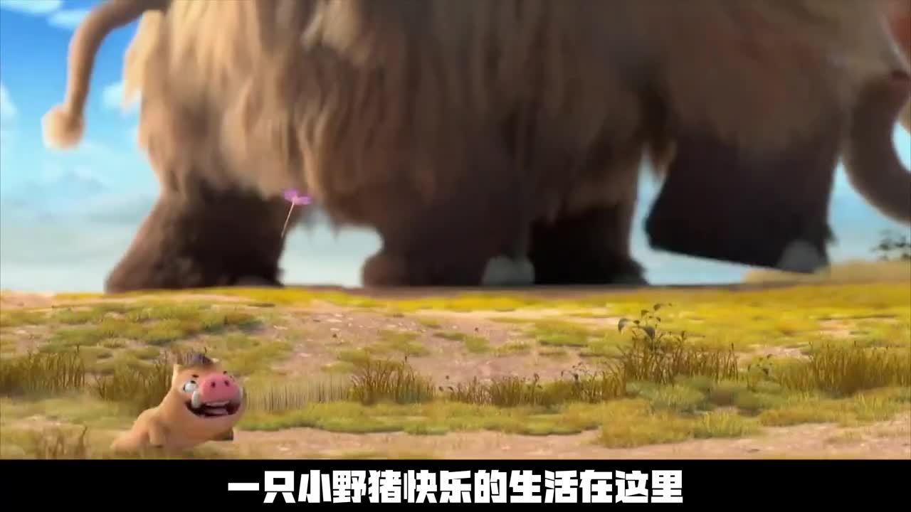 在这片唯美立古老的原始森林中