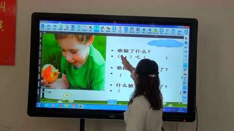 小学语文《被字句和把字句》教学片断