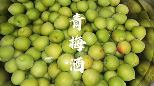 五年青梅酒经验回顾出来的泡酒大法,比例超详细,做法也超简单