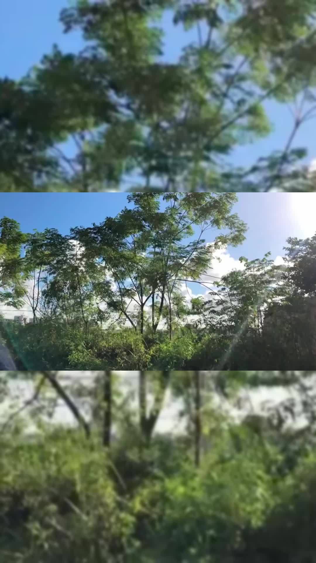 滴滴滴滴滴滴滴打打打打打...