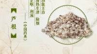 本草中华: 芦苇根也是一味中药 可清热泻火生津止渴