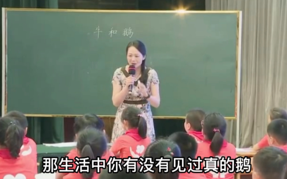 《牛和鹅》四年级语文上册名师优质课课堂实录优质公开课教学实录...