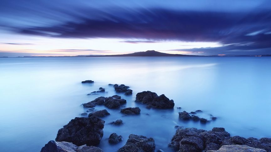 3小时减压助眠音乐,永开不败的诚信之花,永不消逝的中华美德