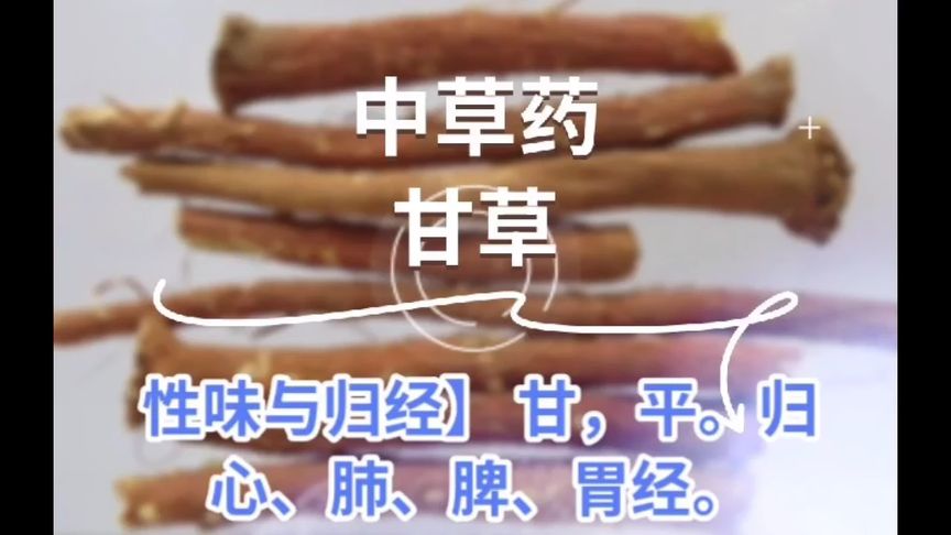 中草药,中药甘草的作用与功效