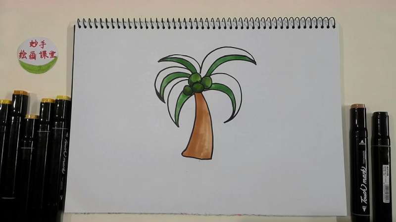 妙手绘画课堂：热带植物椰子树的简单画法