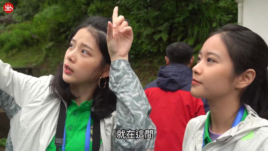 台湾大学生到四川交流,一日熊猫铲屎官体验,大熊猫粪便像甘蔗渣