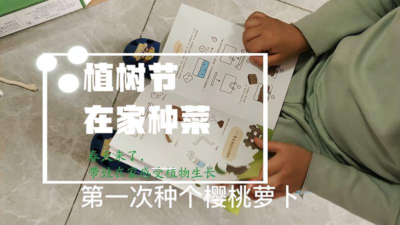 万物复苏 春日生长记录:3月12日植树节带着孩子种种菜