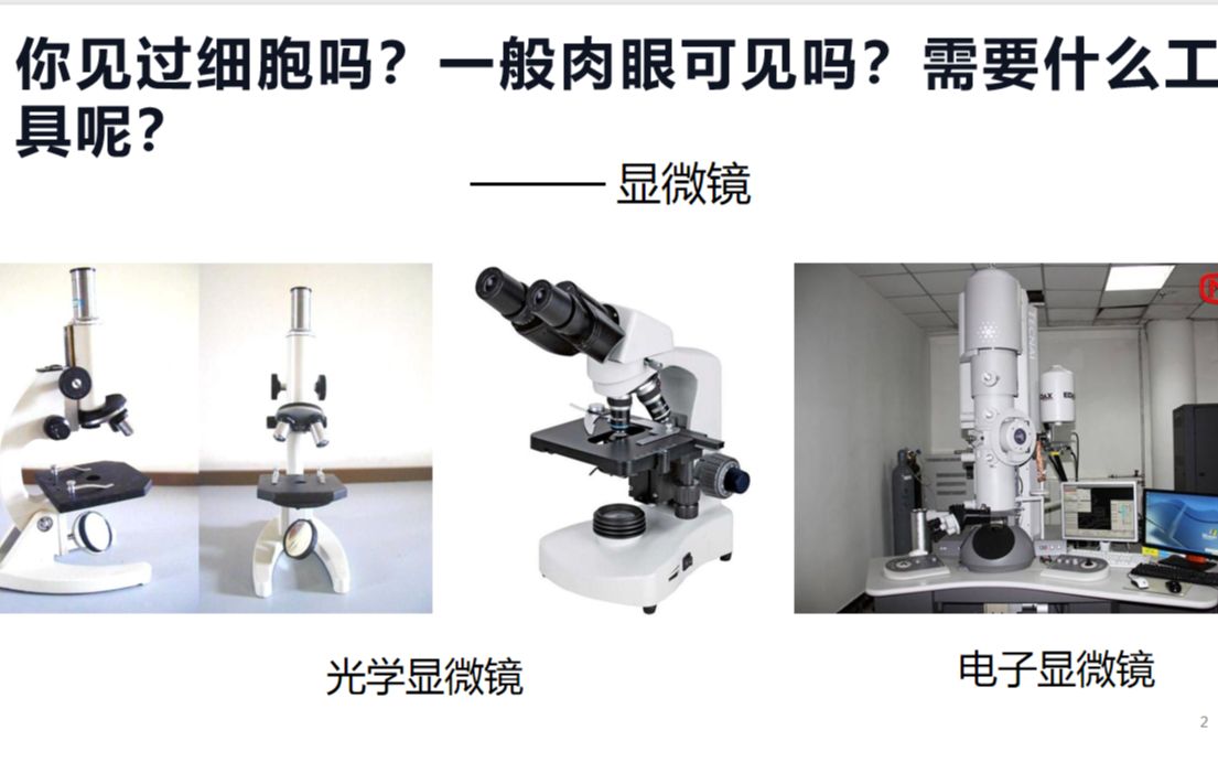 1.2使用高倍显微镜观察几种细胞