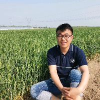 青岛小哥回乡了 