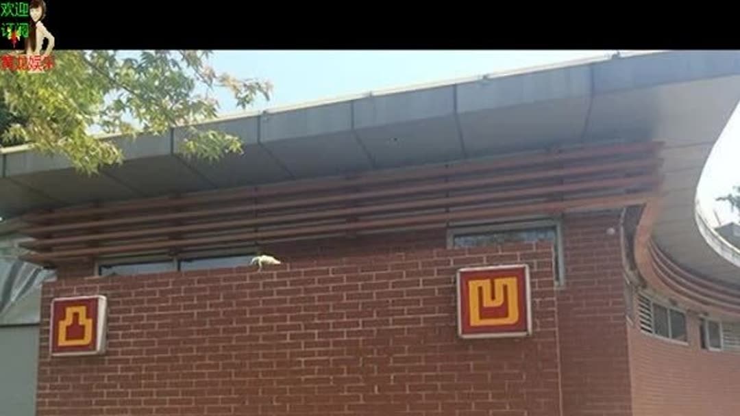 男女厕所标“凹凸” 赤裸裸的标识引热议,