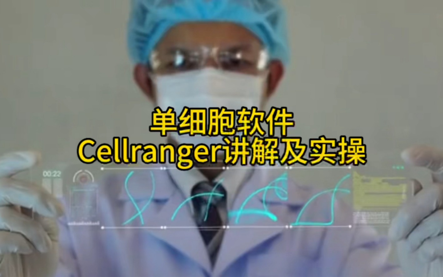 内部视频|生信单细胞Cellranger等软件操作教程含实例演示