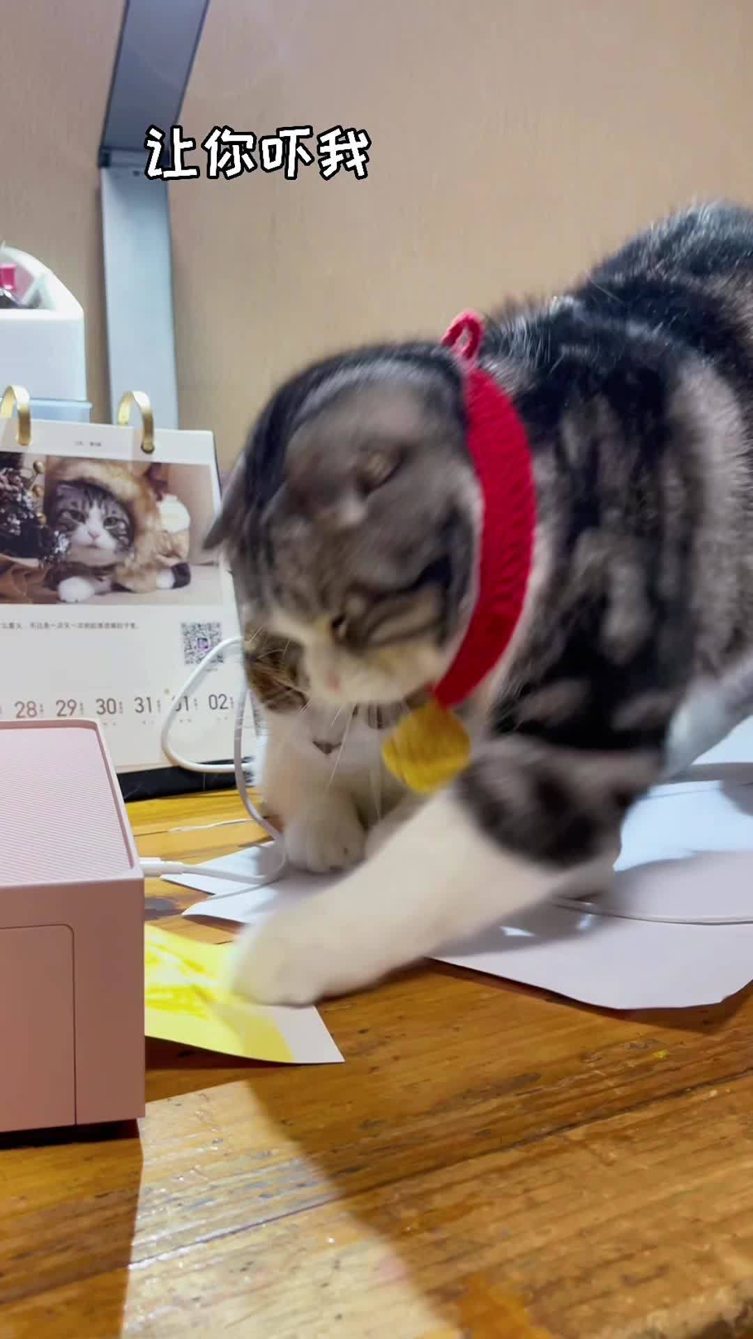 给它打印张照片,结果它打上了