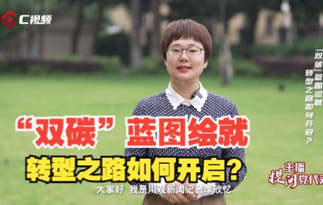 主播提问党代表②丨“双碳”蓝图绘就,转型之路如何开启?