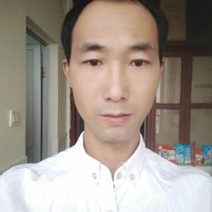 龙行天下宏鹏 