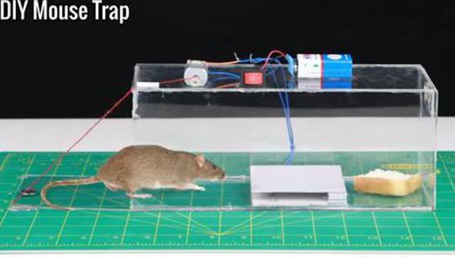 火柴实验室:如何操作电动捕鼠机,真棒的想法!