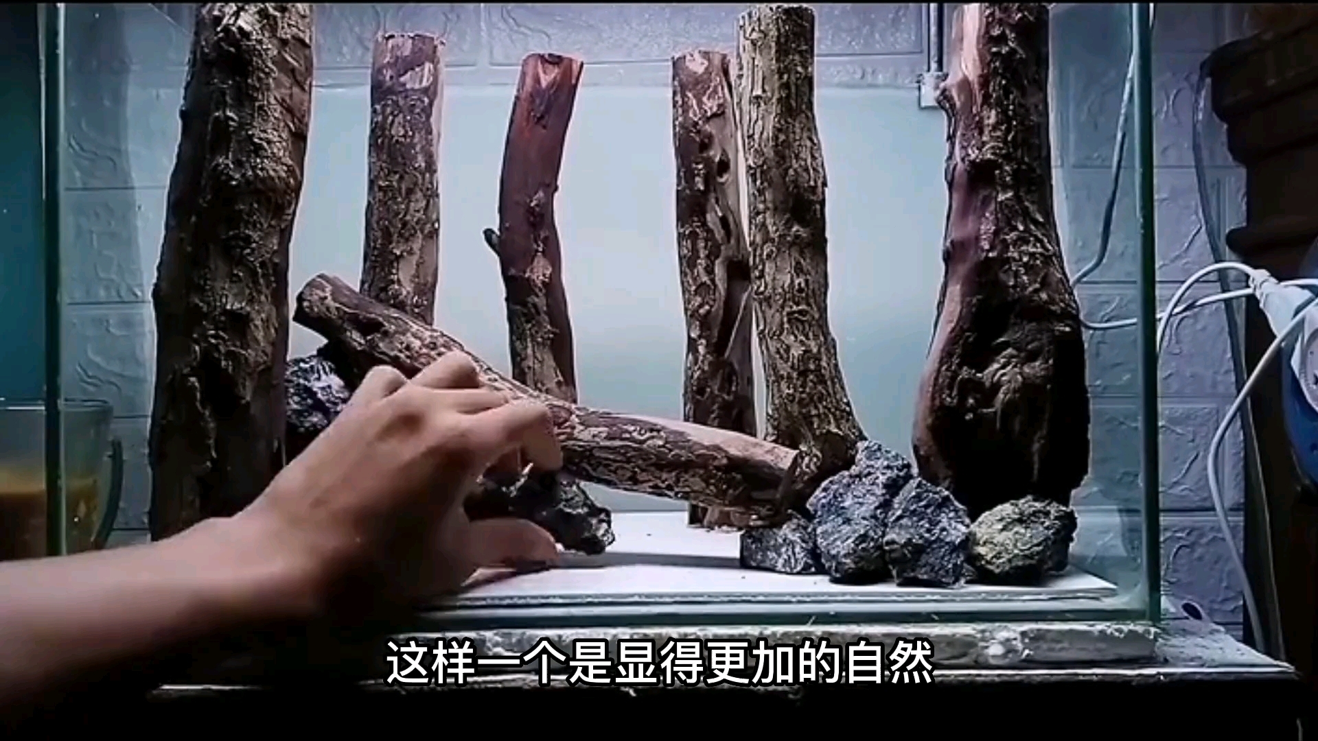 ...4-大家一起来学森林景观造景 水族造景 生态景观 玻璃缸中的大自然