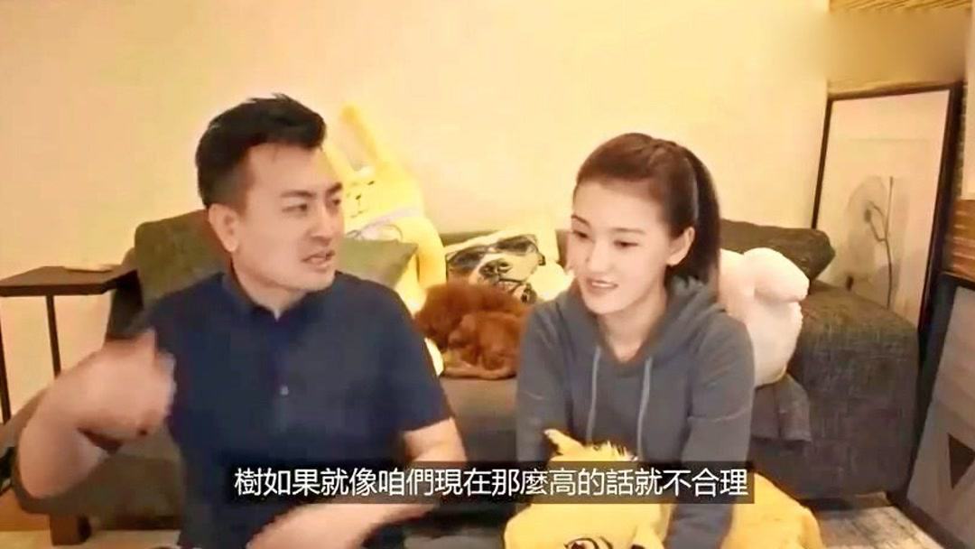 老高和小茉——浪漫的话题假如——地球本没有树