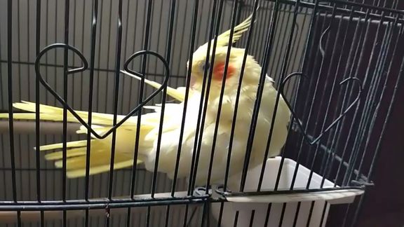 我可爱的宝宝,爱他就让他们快乐一生