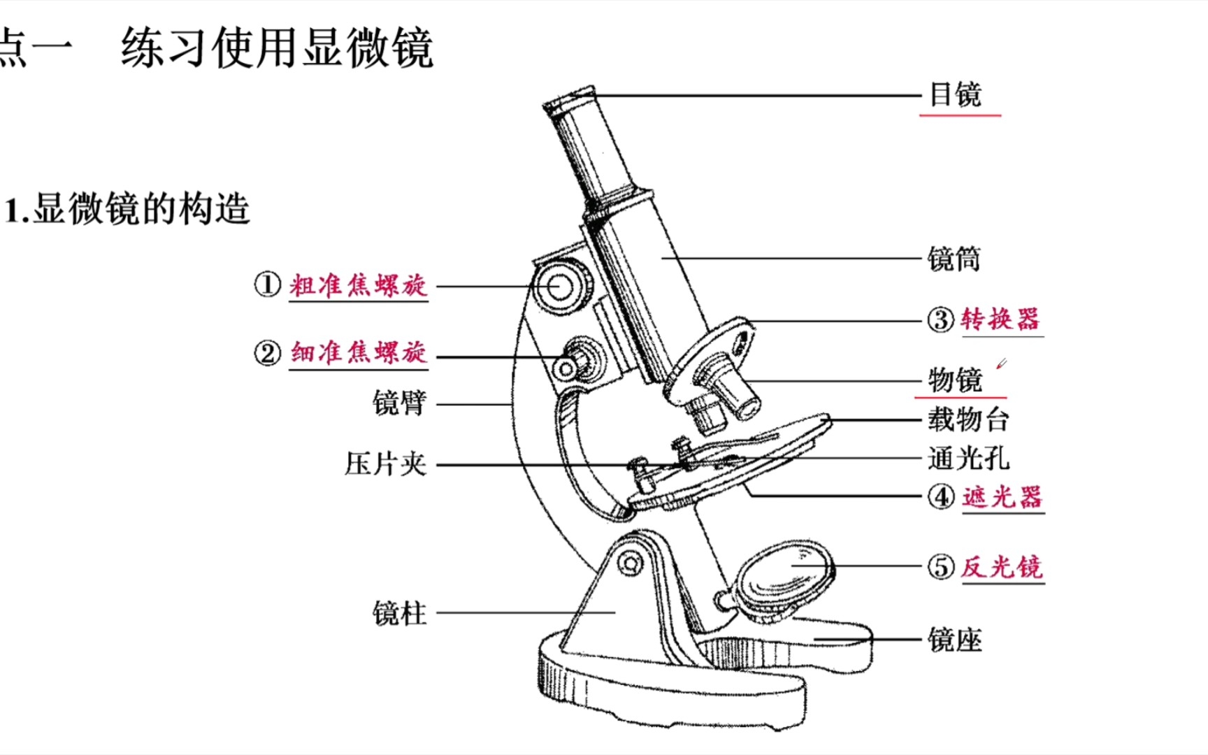第二课时,考点一:练习使用显微镜(初中,生物中考,地生会考)