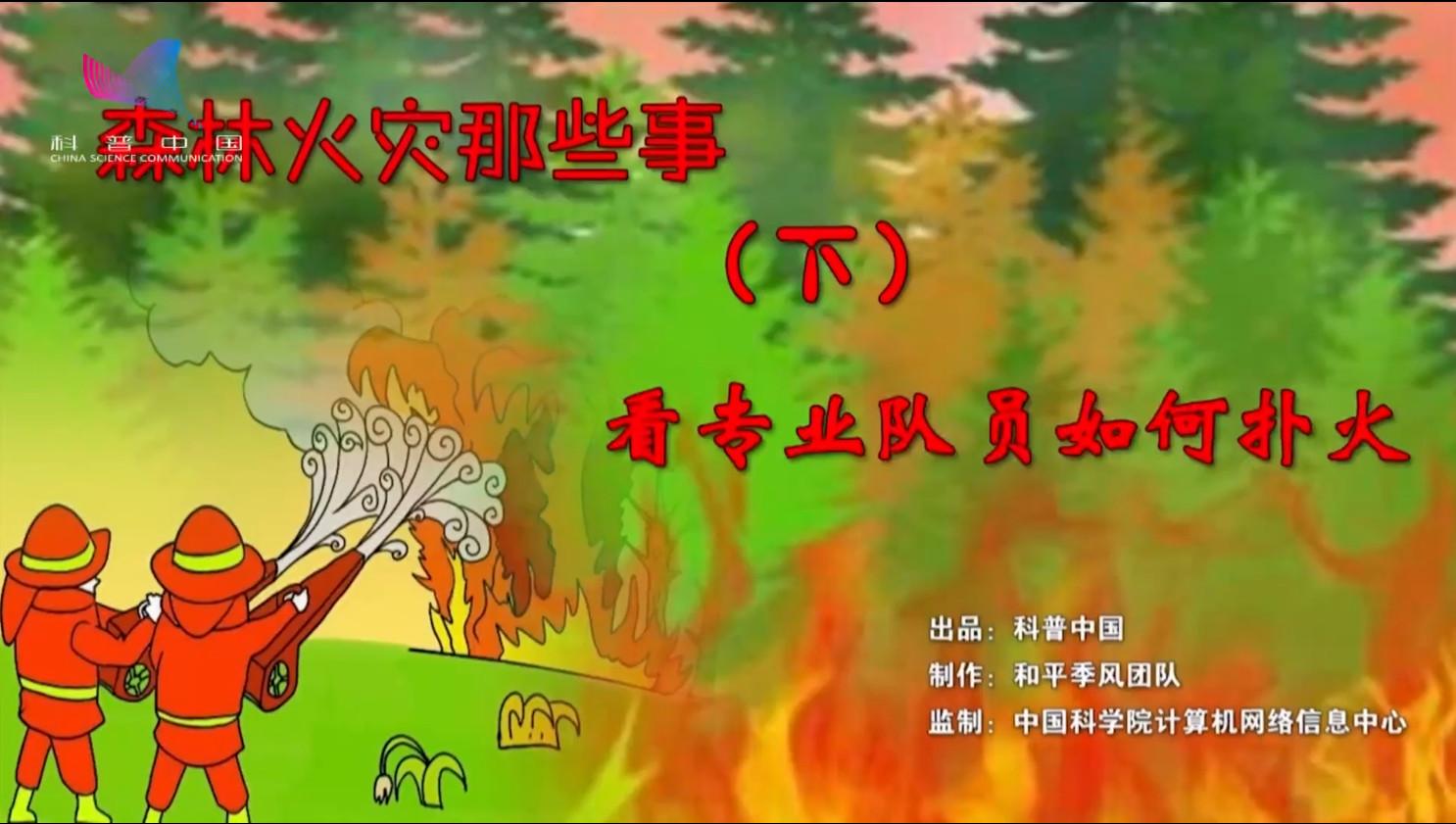森林火灾那些事(下)看专业队员如何扑火
