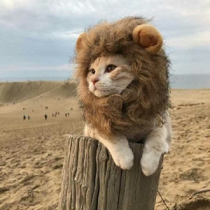 宝贝我来追你啦 