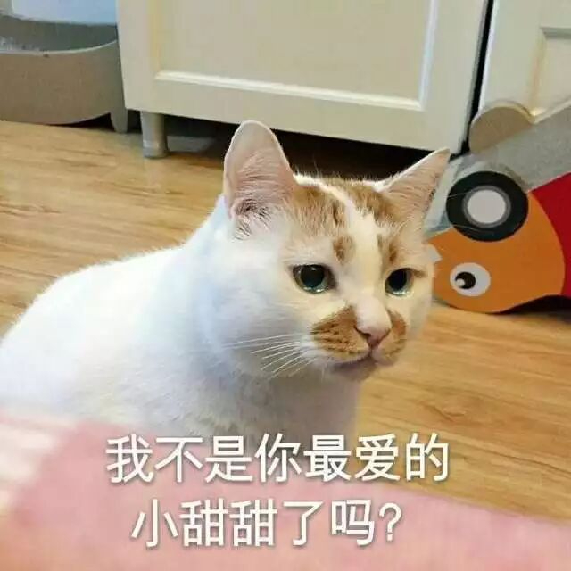 淮师大王 
