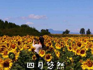 四月悠然 