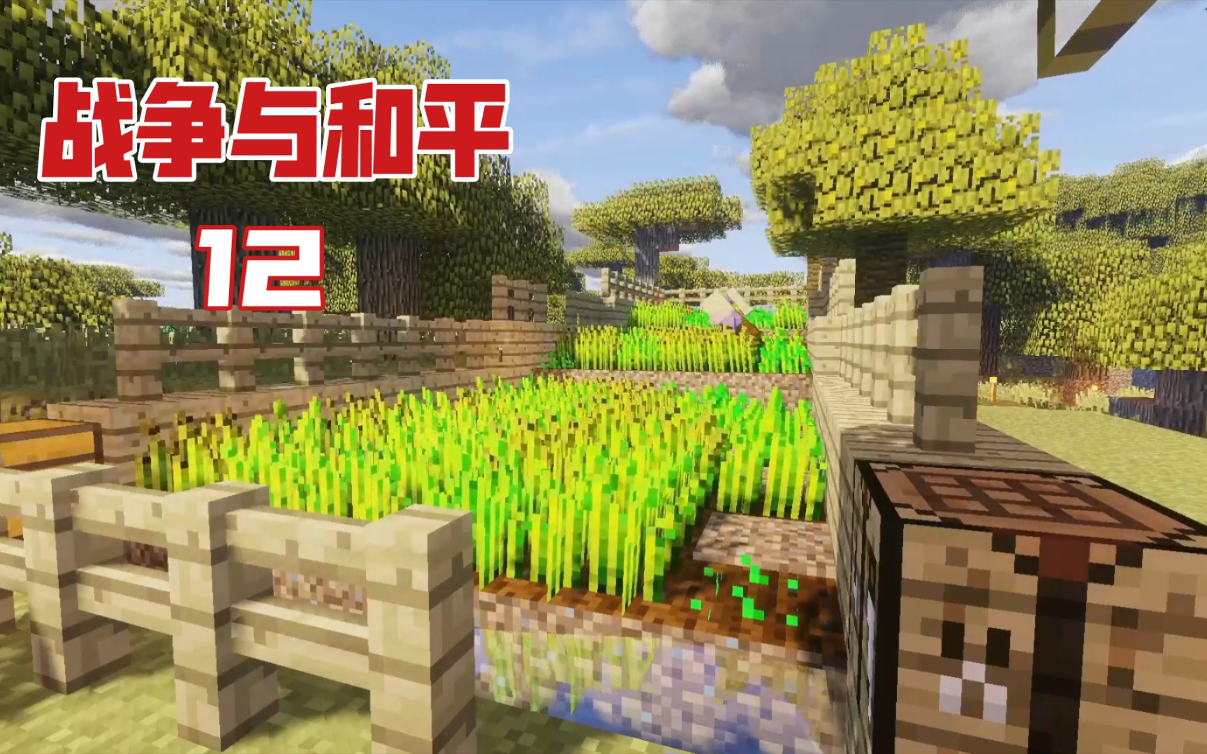 《我的世界》战争与和平12 小麦收割机